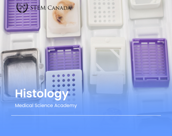 Histology Archives - Medical Science Institute - By STEM Canada